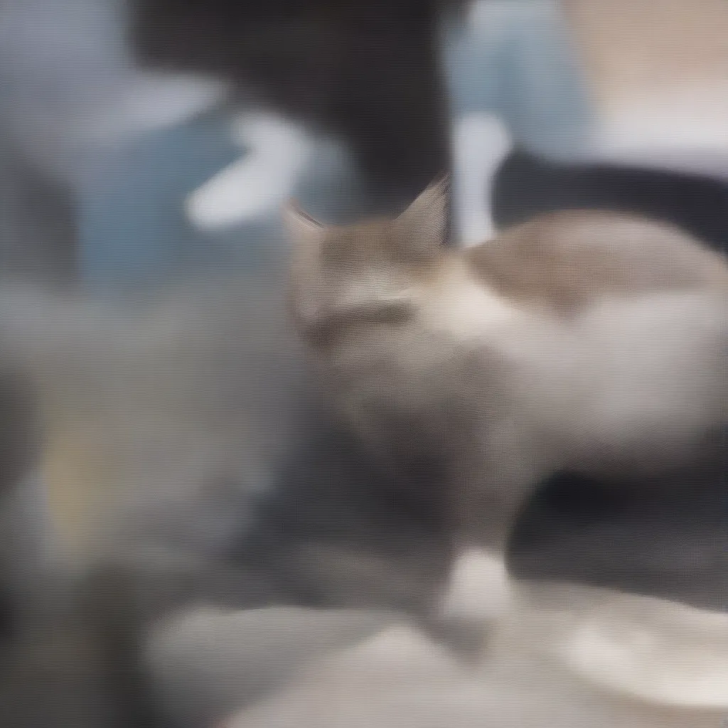 Understanding Cat Behavior: A Comprehensive Examination