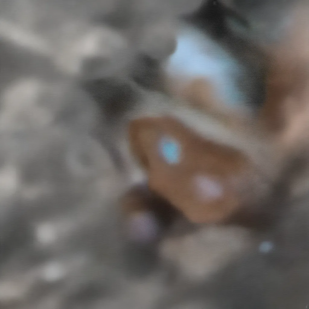 Understanding Electrolytes: Importance and Sources