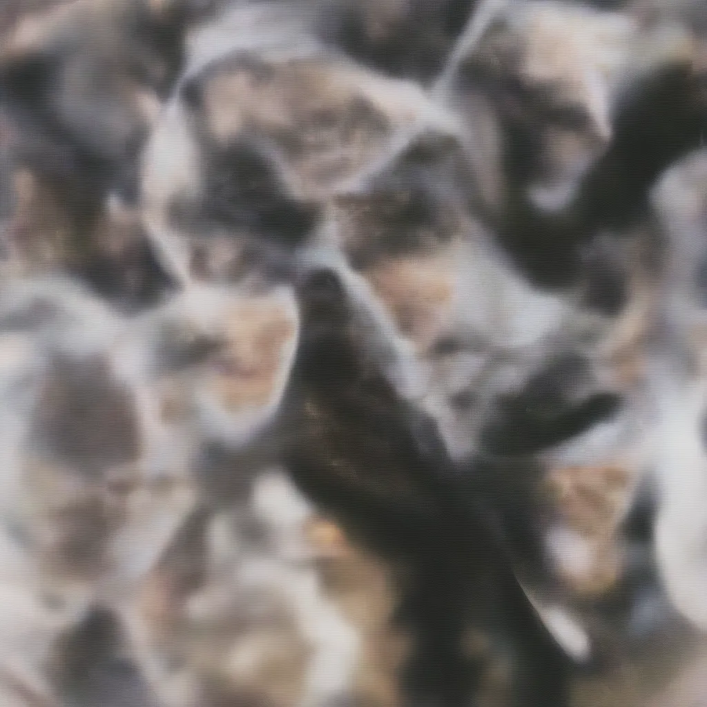 Understanding Mental Wellness: A Comprehensive Exploration